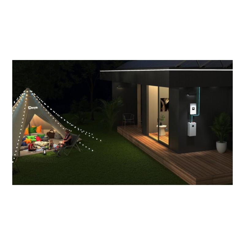 Aerial.net :: DEYE SE-F16-C, 16 kWh (51.2v/ 314 Ah), LV, battery